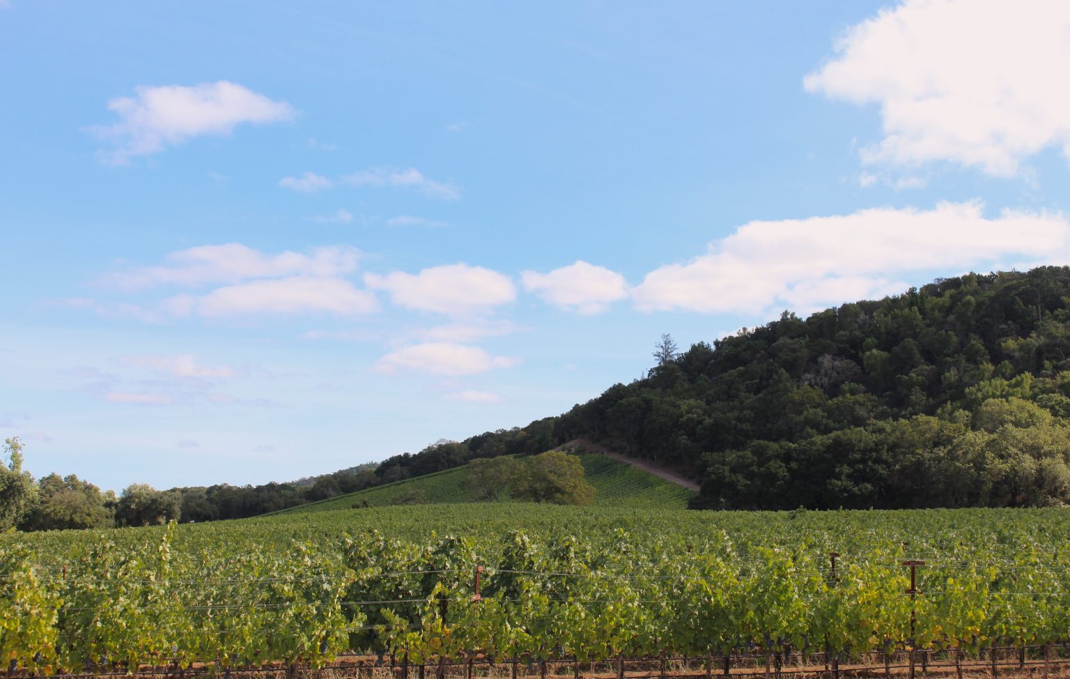 Conservation Easements — Land Trust of Napa County