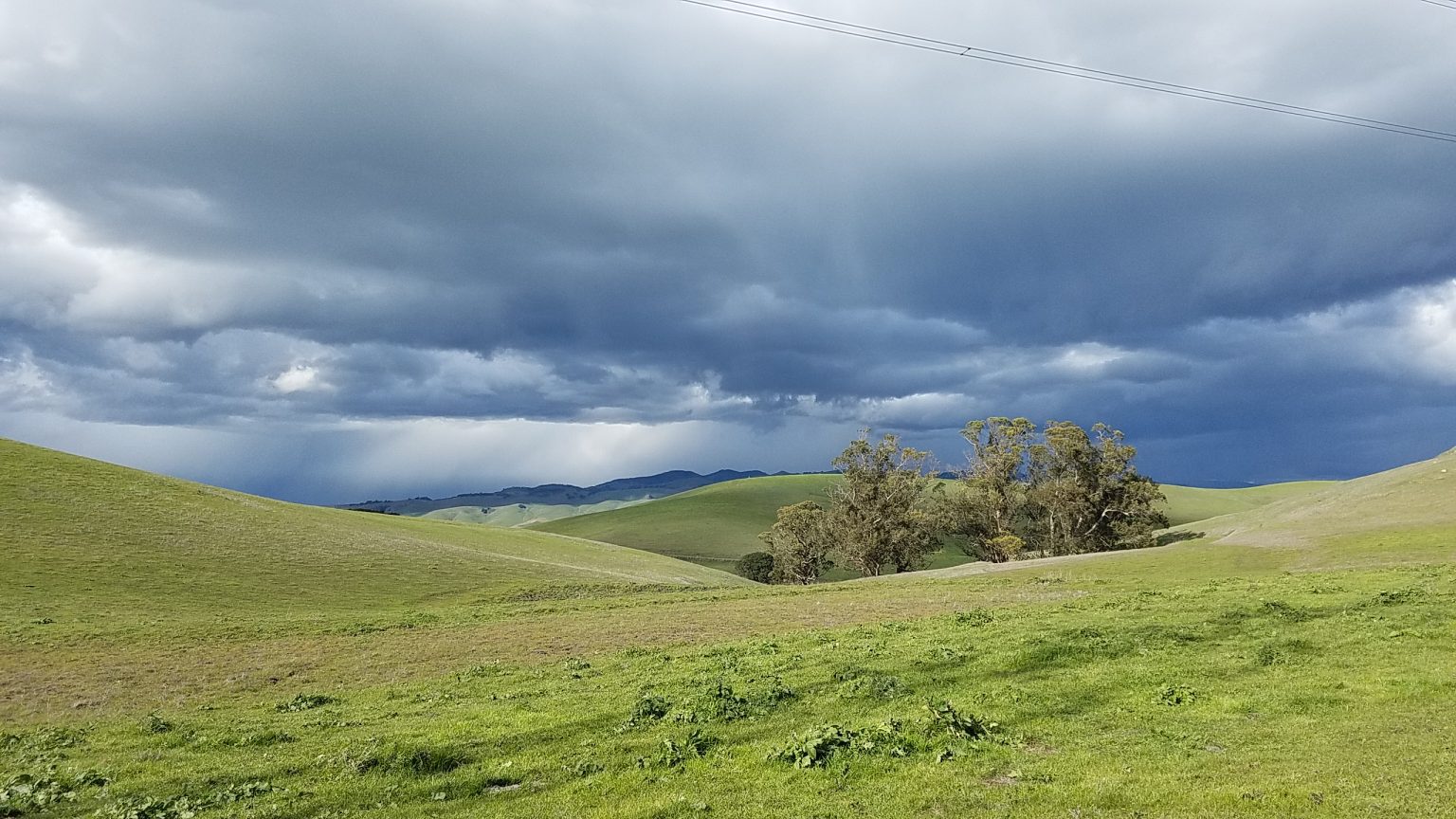 Newell Preserve Raptor Migration — Land Trust of Napa County