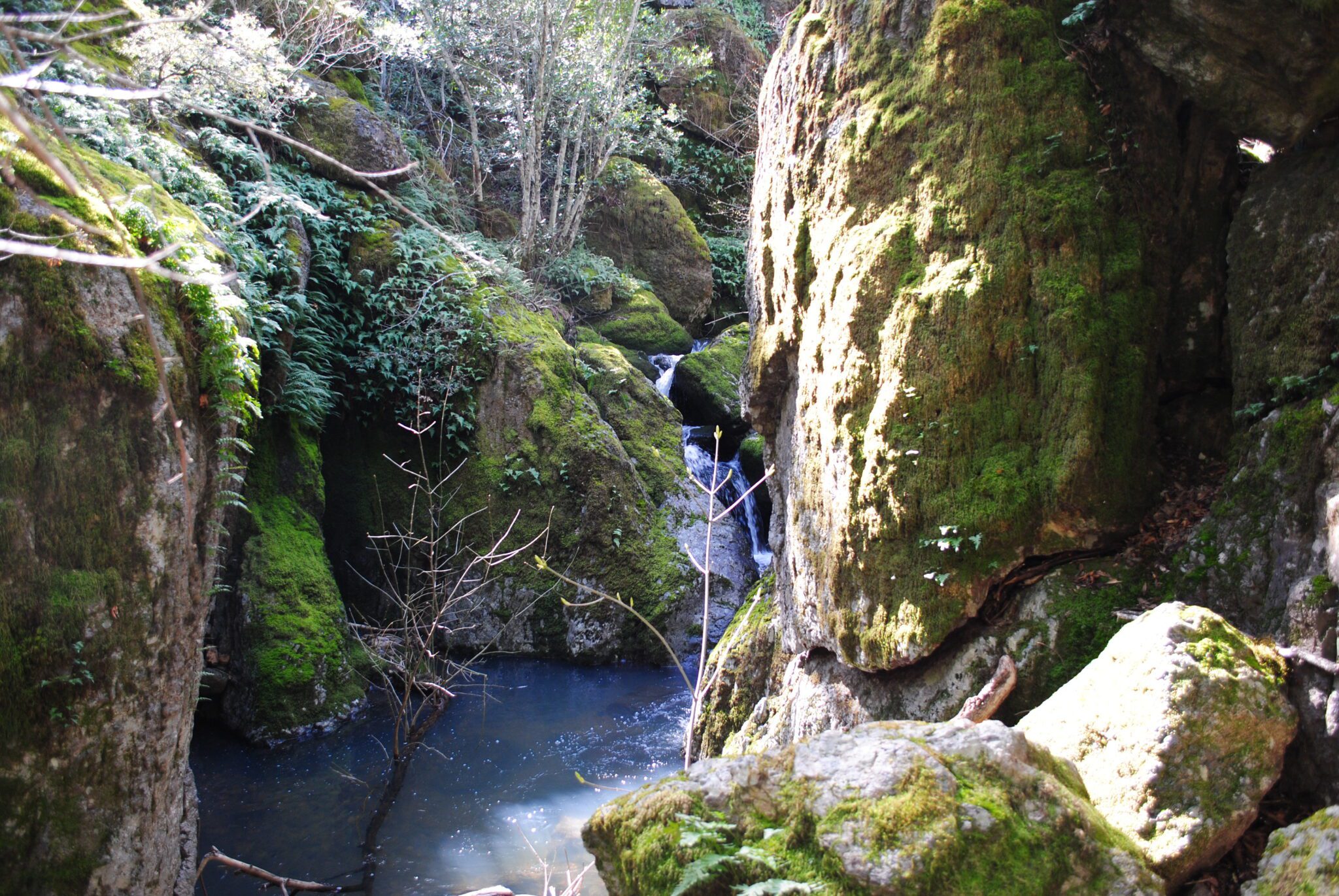 Archer Taylor Preserve Devil's Well Hike — Land Trust of Napa County