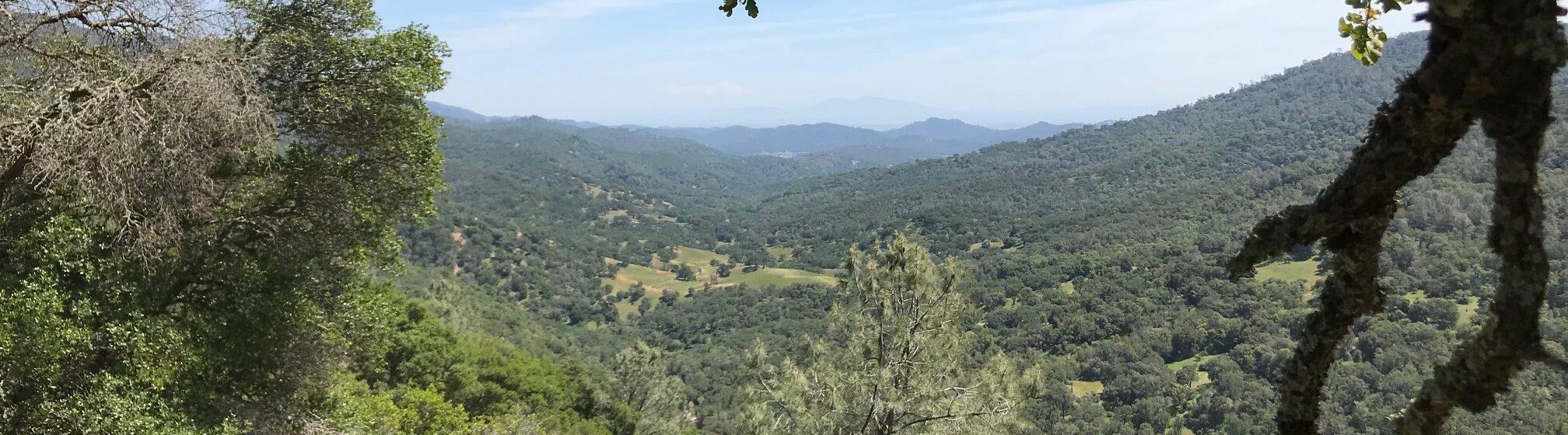 Wragg Ridge Ridgetop Hike — Land Trust of Napa County