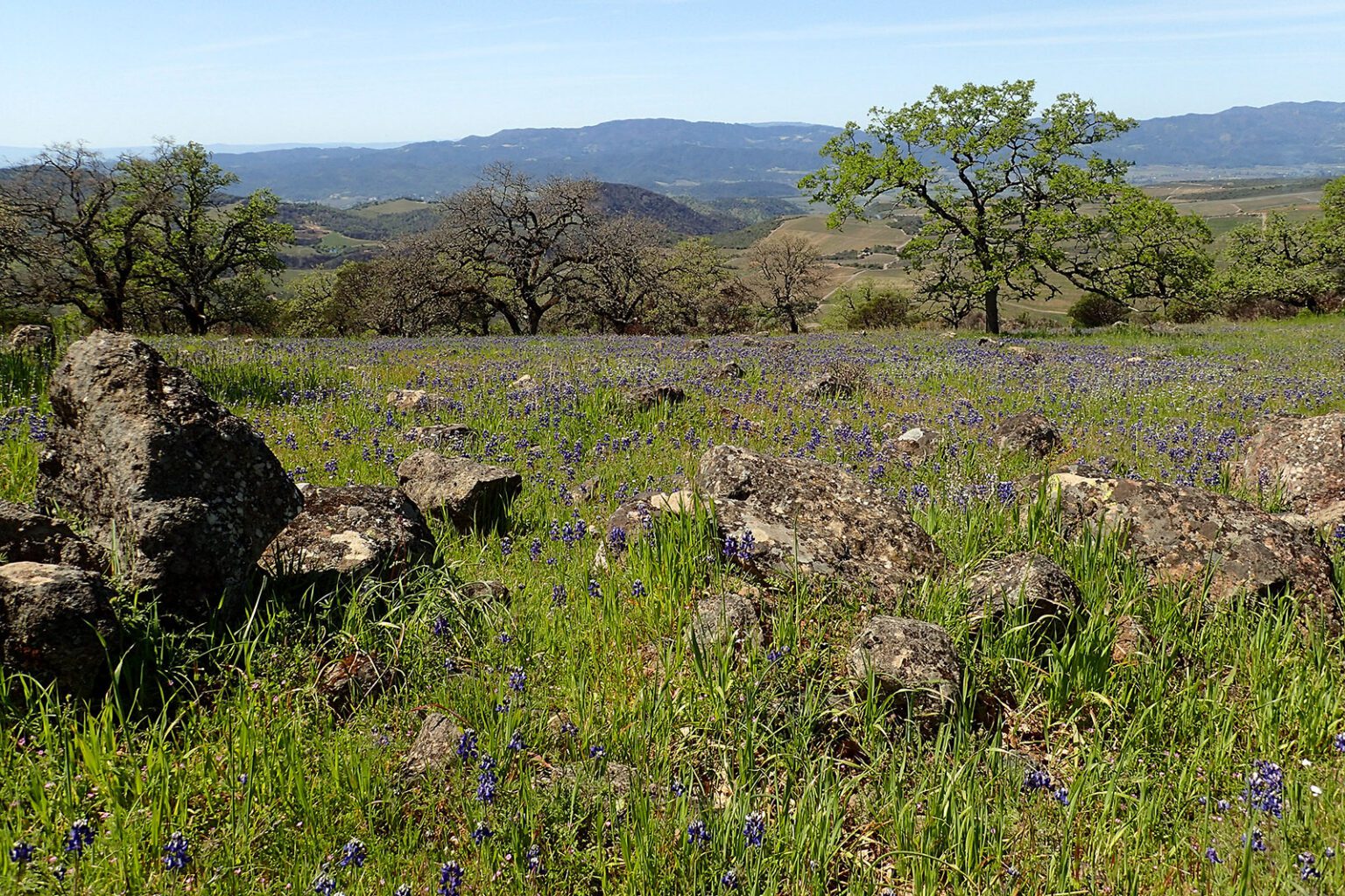 96,000 Acres and Counting: What Permanent Protection Means for Napa ...